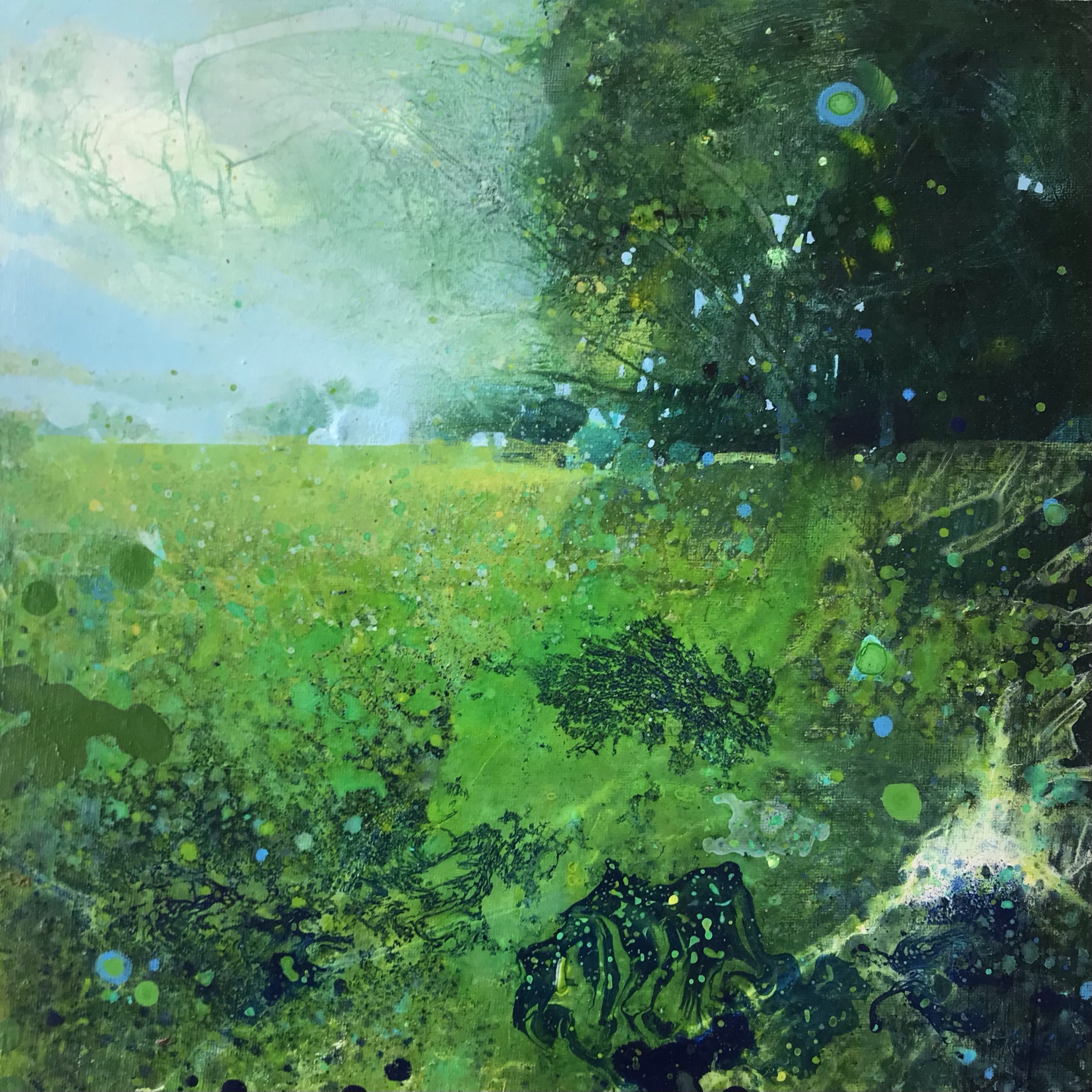 Land – Lorna Kirin